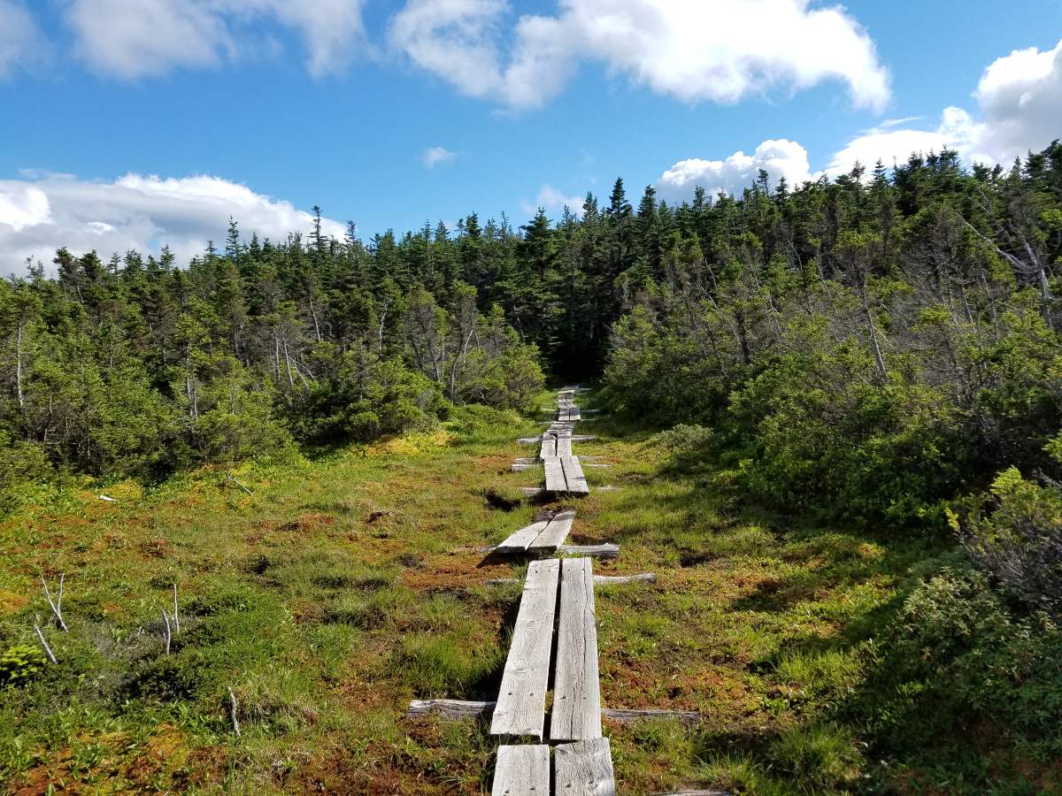 Hiking the Carter-Moriah Range: No Easy Day - wandering matt